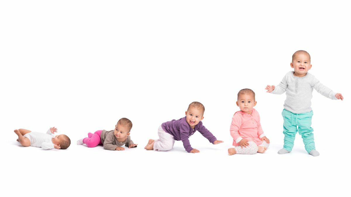 Use the Infant Wellness Map to remember your baby’s appointments ...